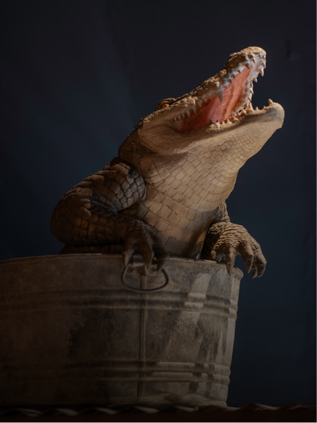 Interior photos of Hucklebery restaurants. - Huckleberry – Southern ...